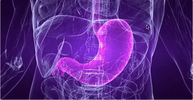 Mide Asidi Seviyelerini İyileştirmenin 10 Yolu | Dr. Can ile Fitekran