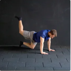 Quadruped Hip Extension Nasıl Yapılır? | Dr. Can ile Fitekran